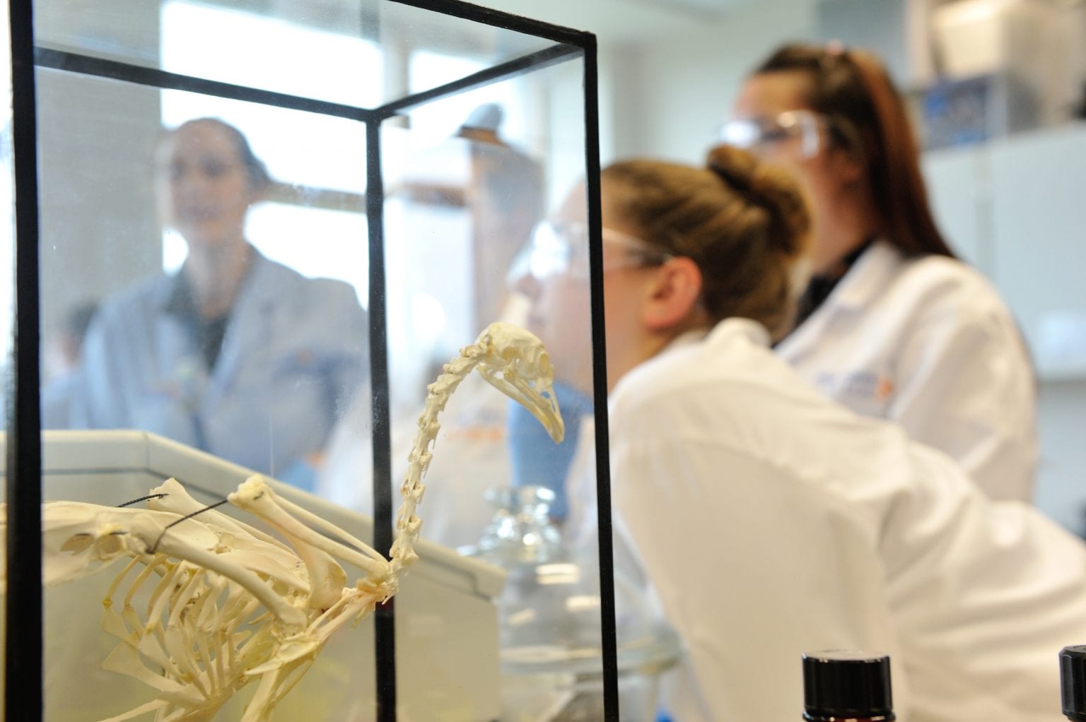 T-Level Science - Preston College